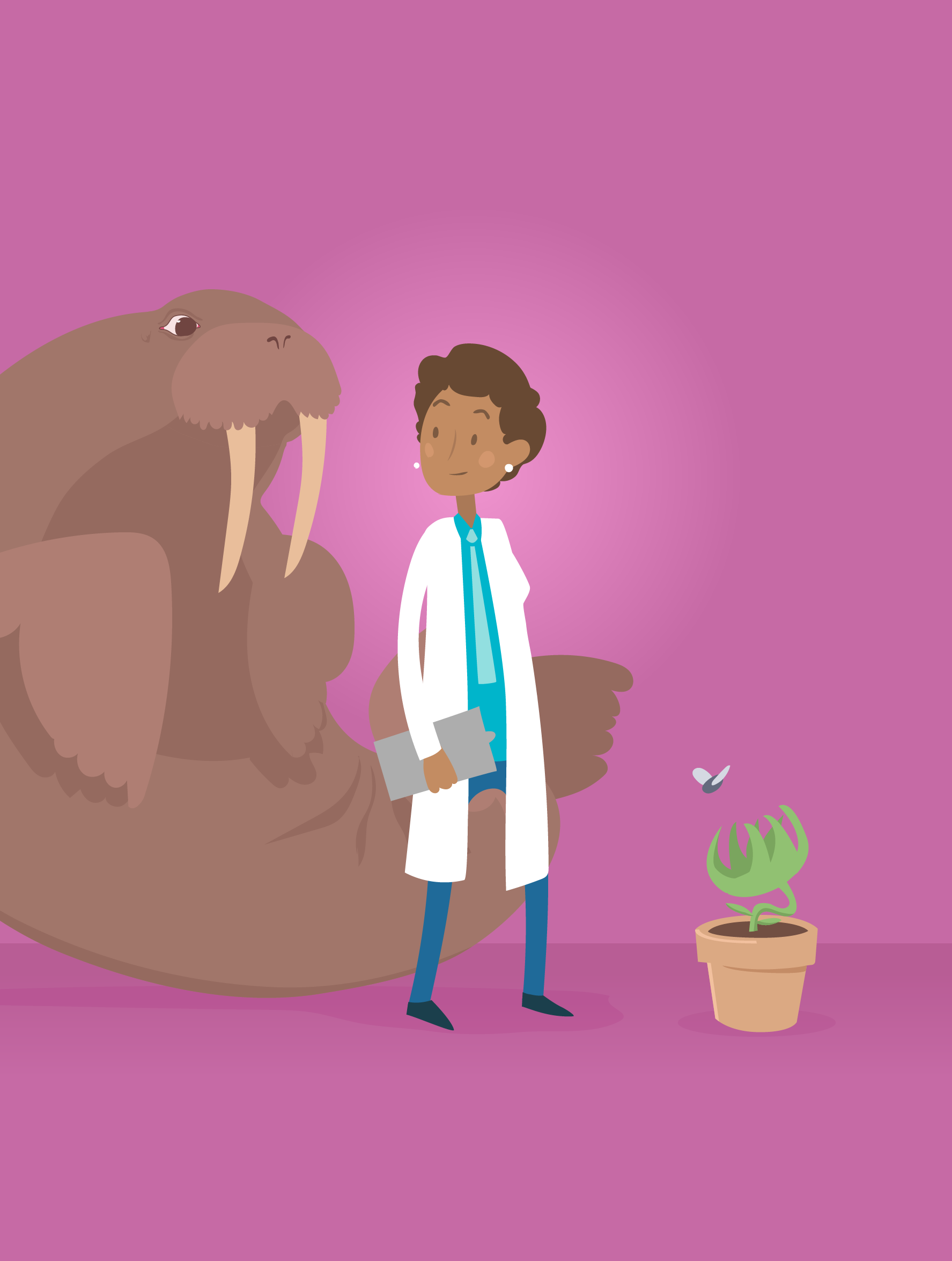 Scaredy Crow – Tal Ormsby – Motion / Graphics / Design